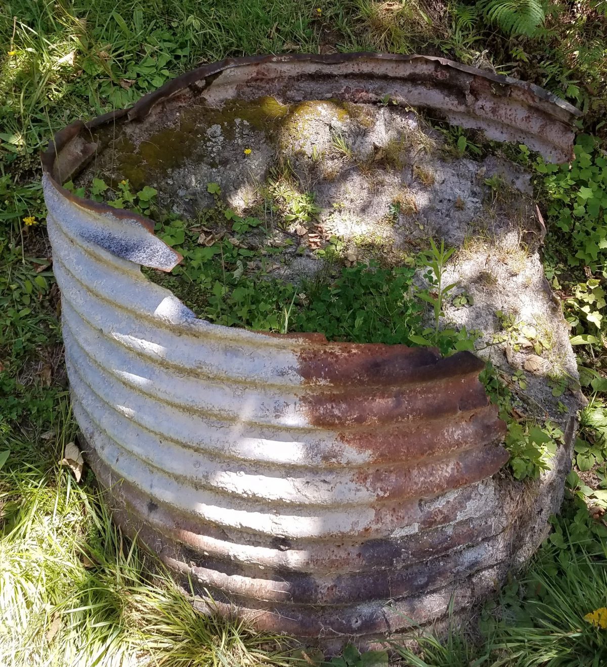 Monday Excursion: The Buried Village of Te Wairoa – Michael and Nancy