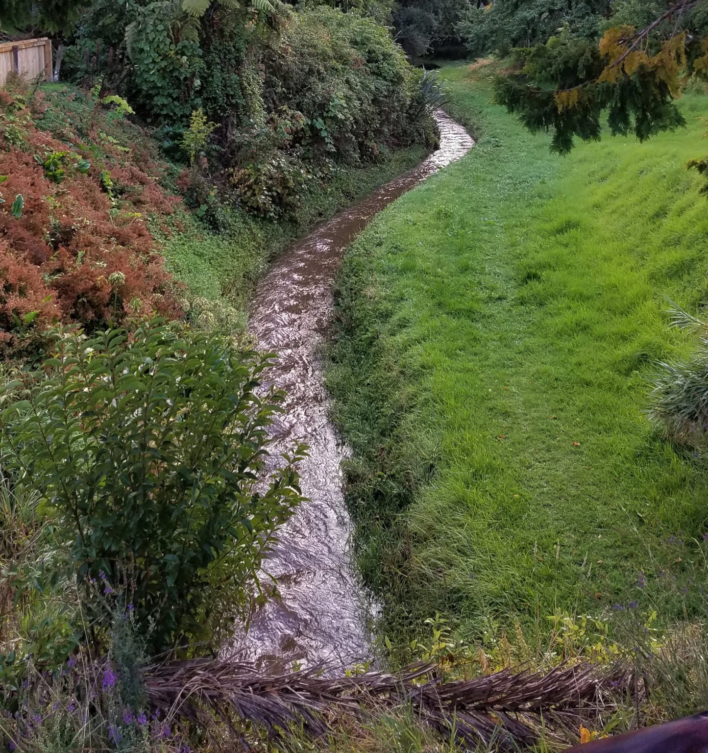 Mangaiti Gully – Michael and Nancy