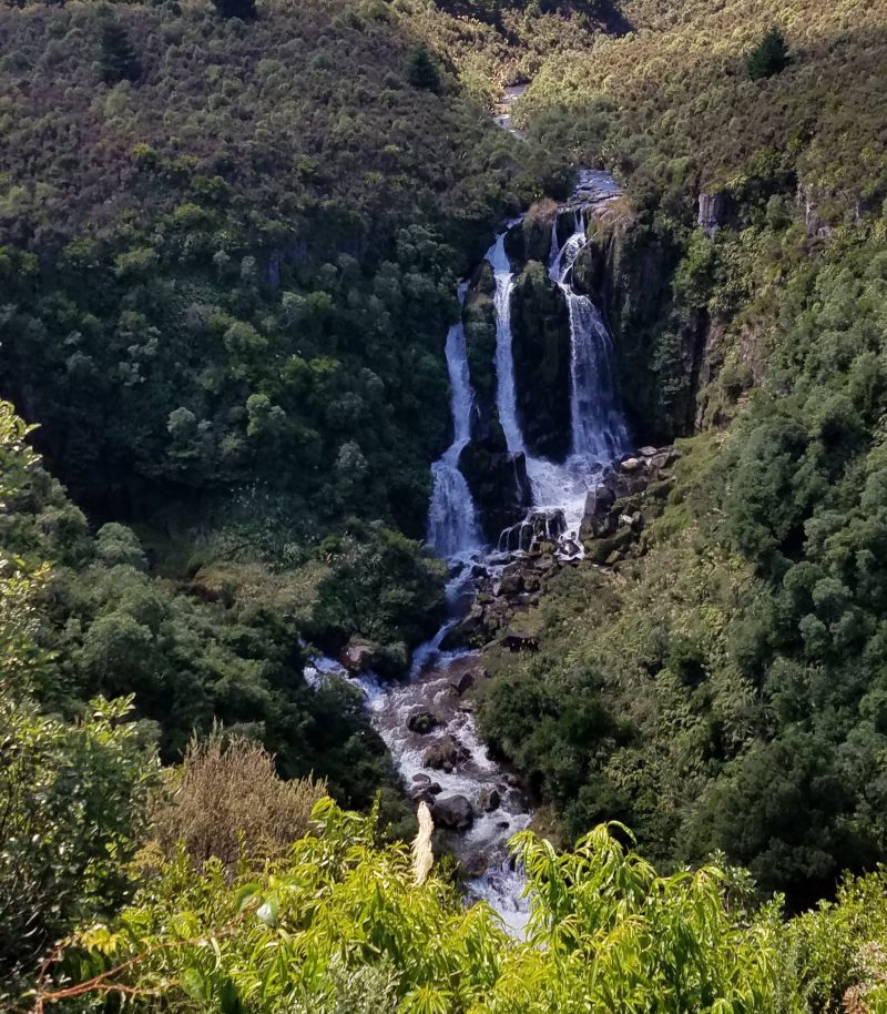 Waterfalls of the North Island – Michael and Nancy